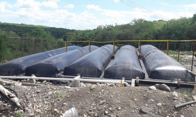 Polythene bag digesters