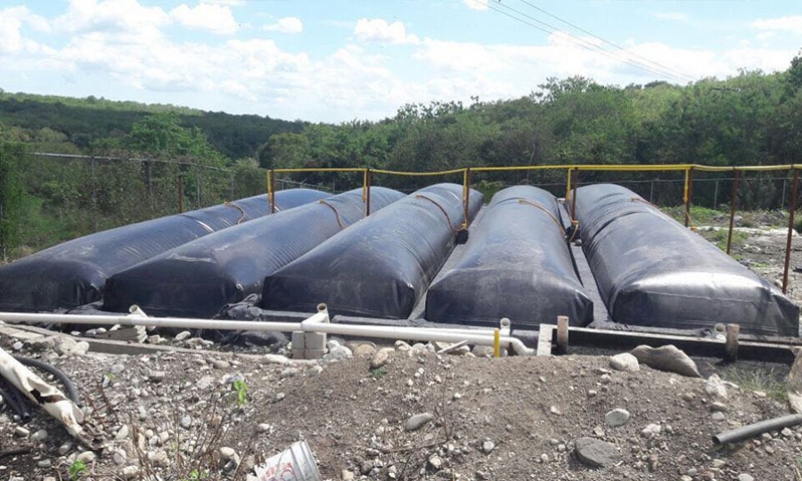 Polythene bag digesters